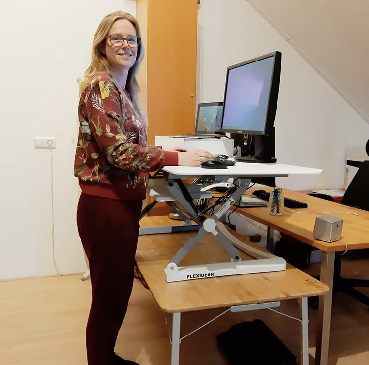 Adjustable desk add on store