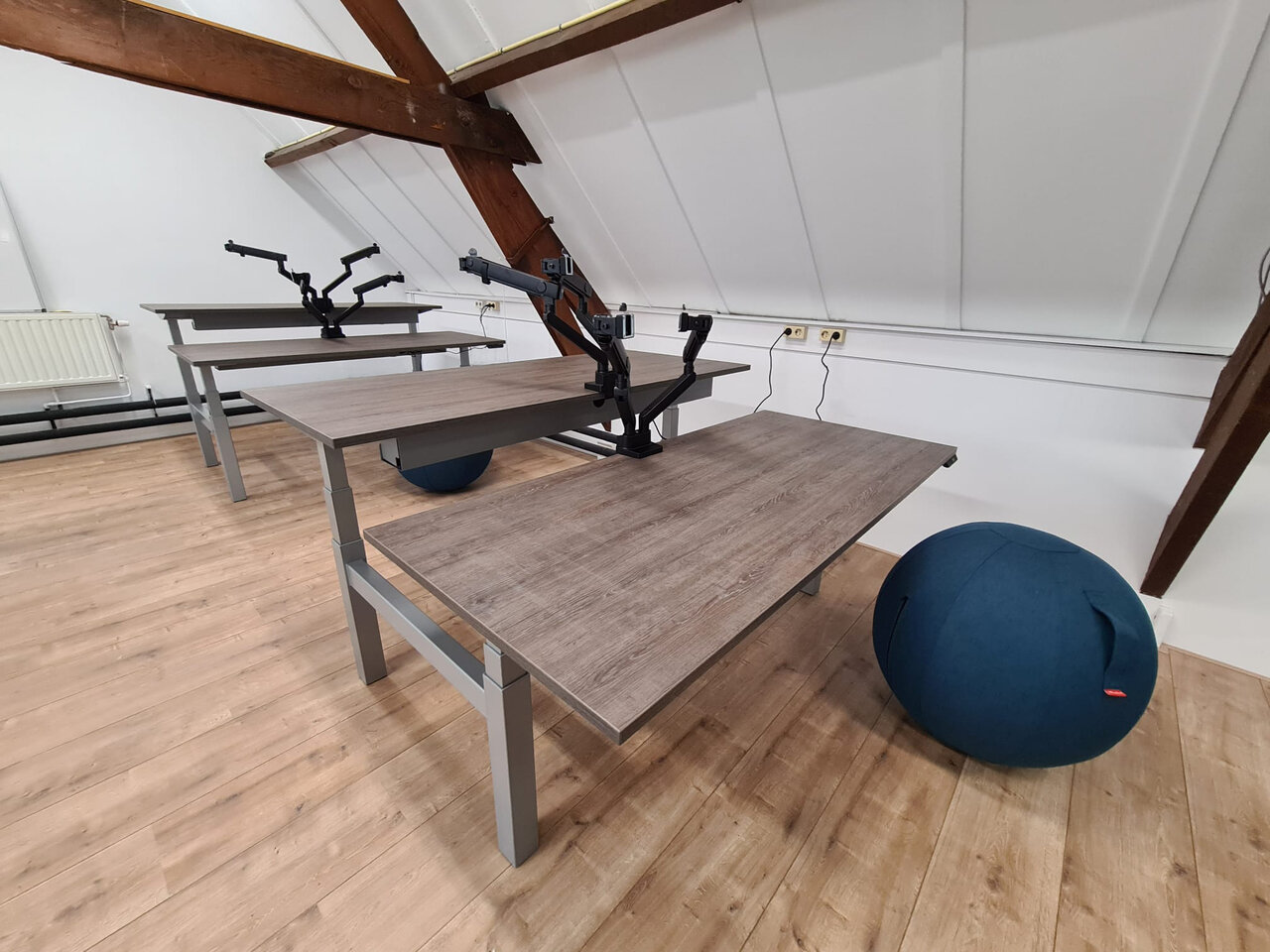 Office Ball Sitting Ball | Sittingball behind your desk | Worktrainer.com