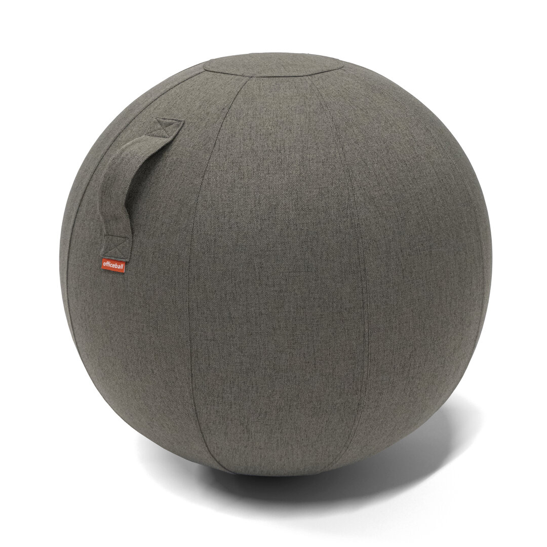 Office Ball Sitting Ball | Sittingball behind your desk | Worktrainer.com
