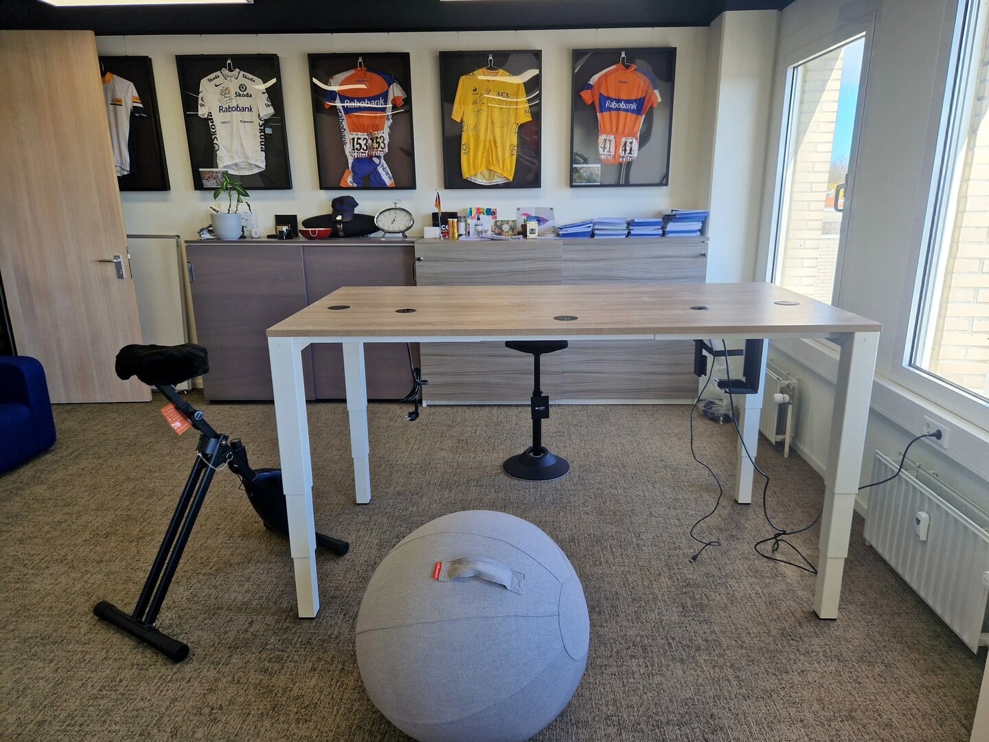 Office Ball Sitting Ball | Sittingball behind your desk | Worktrainer.com