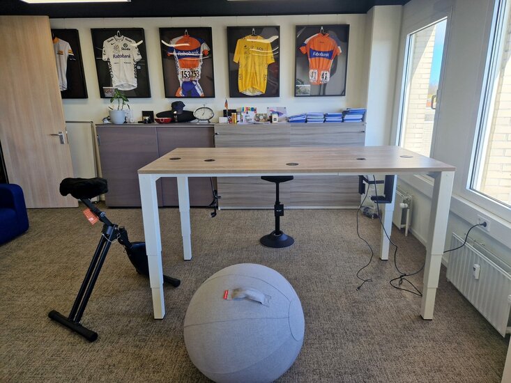 Office Ball Sitting Ball | Sittingball behind your desk | Worktrainer.com
